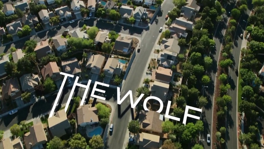 Así es Wolf Security, el nuevo porfolio de soluciones y servicios de ...